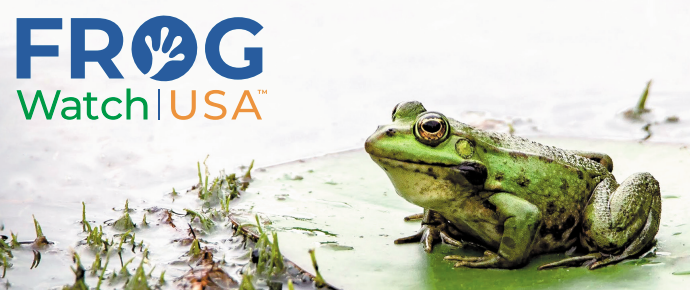 North Carolina Aquarium at Fort Fisher Reservations - FrogWatch