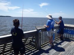 North Carolina Aquarium on Roanoke Island Reservations - Day Planner